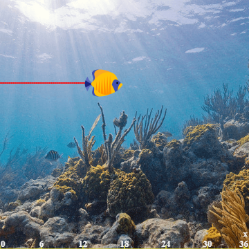 Grade 8 Computer Science with Robotics